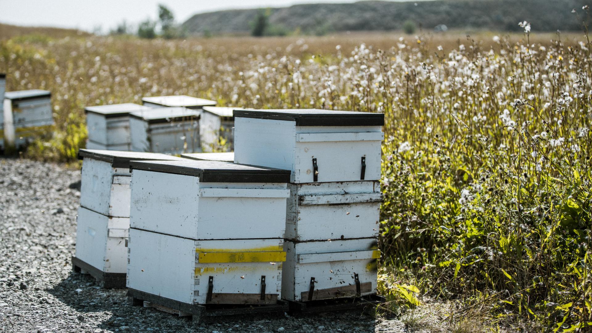 Climate Change & Sustainability Consulting Services